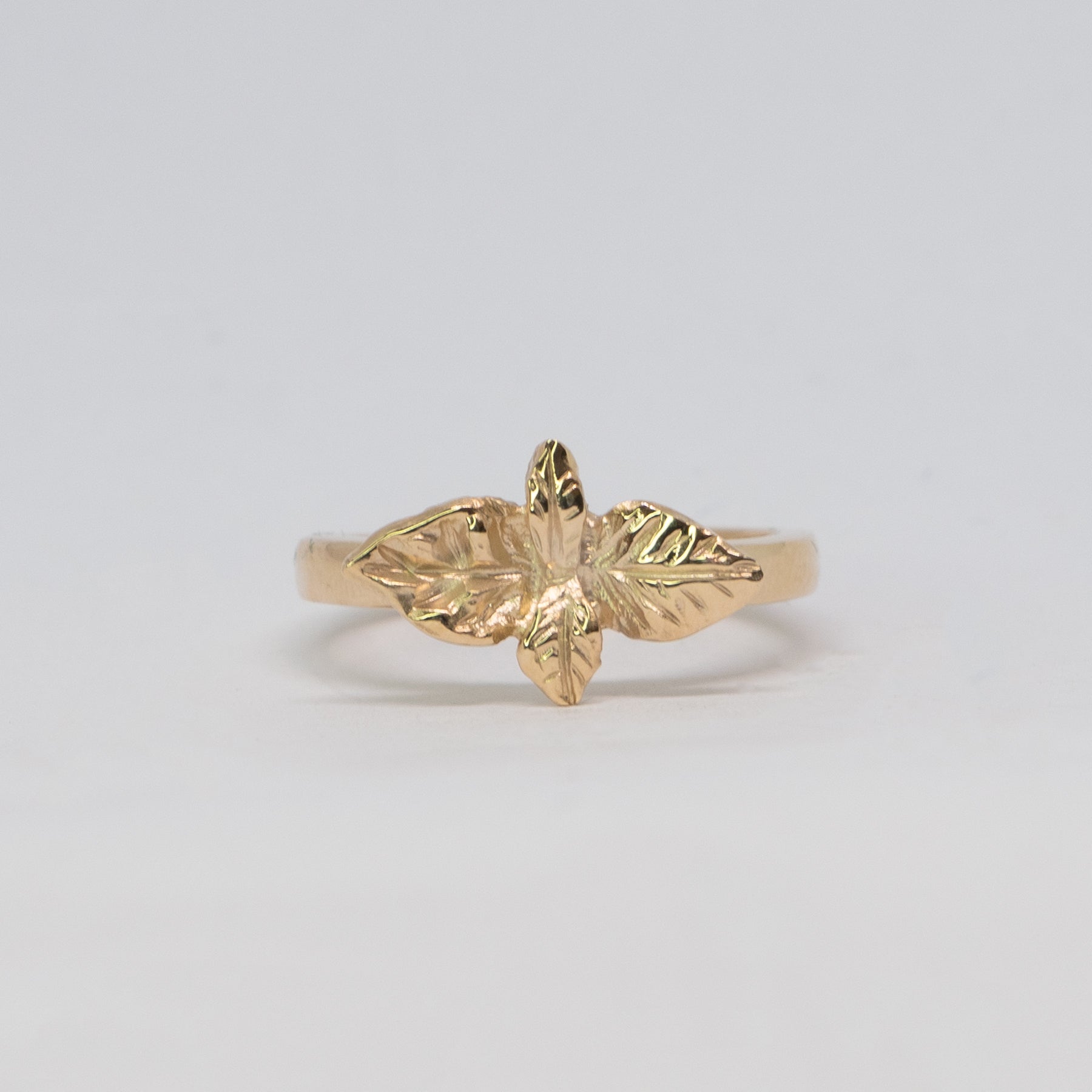 Olivia Ware - Basil Ring - Good Wishes – Comune Gallery